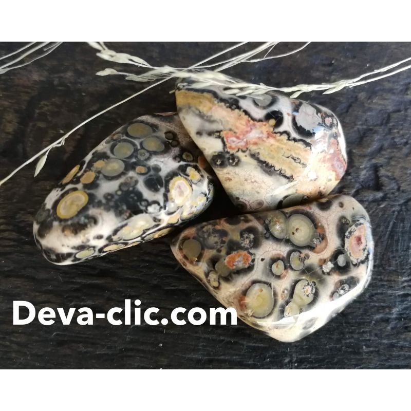 jaspe leopard - léopardite - rhyolite rose - jaspe orbiculaire